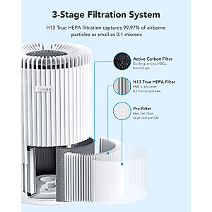 Govee Smart Air Purifiers for Home Large Room, WiFi Air Purifiers for Bedroom Work with Alexa Google Assistant, H13 True HEPA Filter for Pets 24dB Night Light