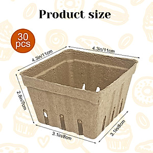 Rainmae 30 Pack Natural Pulp Fiber Berry Basket, Molded Berry Basket Produce Vented Container for Strawberry Blueberry Raspberry and Vegetable, Farmer Market, Grocery Stores, Backyard Party