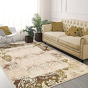 SUPERIOR Mystique Modern Geometric Paisley Polypropylene Indoor Area Rug, 8x10, Beige