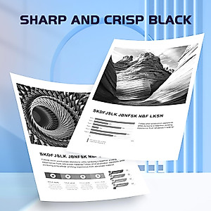 ZIPRINT Remanufactured Ink Cartridge Replacement for Epson 252XL 252 Ink for Epson Workforce WF-7720 WF-7710 WF-3640 WF-3630 WF-3620 WF-7620 WF-7610 WF-7110 Printer (252XL Black, 2-Pack)