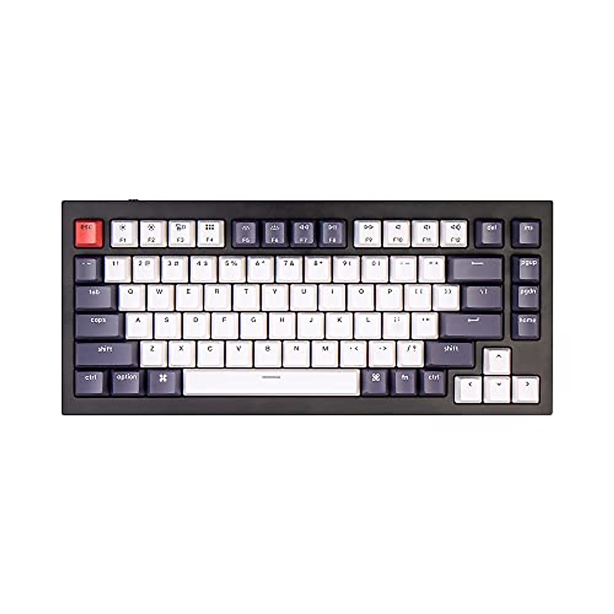 Keychron Q1 RGB Wired Custom Mechanical Keyboard, QMK/VIA Programmable Macro with 75% Layout Hot-swappable Gateron G Pro Blue Switch Double Gasket Compatible with Mac Windows Linux (Black) -Version 2