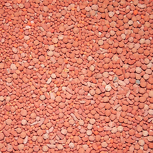 Antler King Trophy Clover Mix