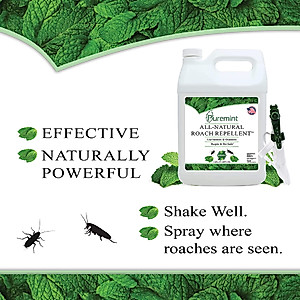 Puremint Roach Repellent, 128 fl oz