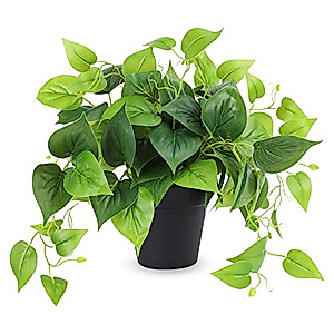JPSOR Faux Plants for Home Décor, Small Indoor Fake/Artificial Potted Plants Pothos with Black Plastic Pot for Outdoor Living Room Bedroom Office Garden