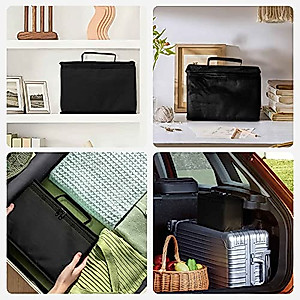 iBune Large 5x7 Photo Storage Box, 8 Inner Photo Cases Store up to 1000 Pictures, Photo Organizer with Zipper Cloth Bag, Cards Craft Keeper with Handle for Photo Cards Seed Storage, Rainbow