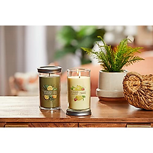 Yankee Candle Sage & Citrus Signature Medium Pillar Candle, 14.25oz