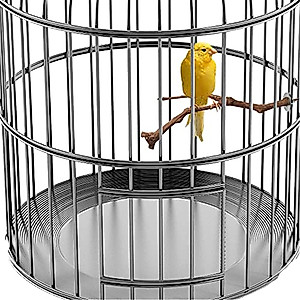 kathson Parrot Perch Stand Bird Cagestand Pole Natural Wild Grape Stick Grinding Paw Cage Accessories for Parakeet Cockatiels Budgies Conure Lovebirds Platform