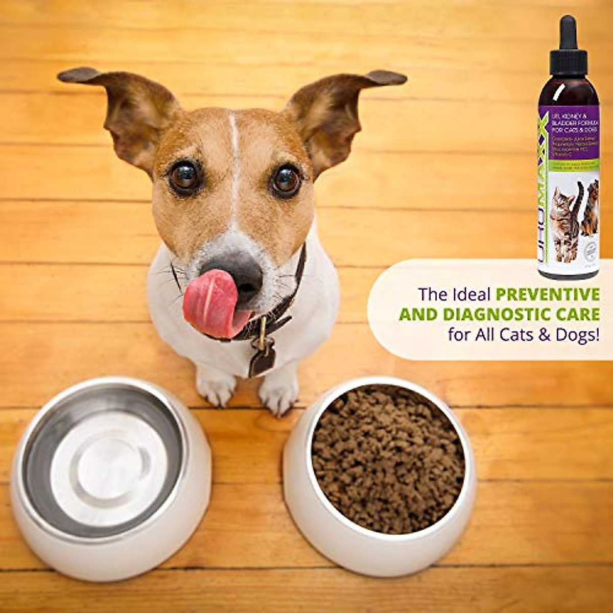 UroMAXX Urinary Tract, Kidney & Bladder Formula for Cats and Dogs, 6 oz Bottle. Premium Pack