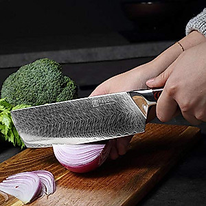 PAUDIN Damascus Nakiri Knife,7 Inch Japanese Damascus 67-layers VG10 High Carbon Stainless steel Knife, Ultra Sharp Vegetable Knife, Plume Pattern Kitchen Knife with Ergonomic G10 Handle