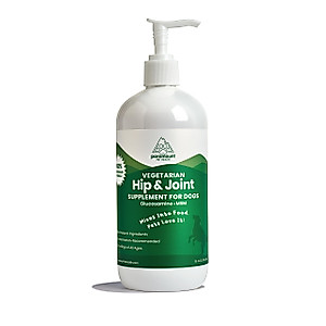 Vegetarian Glucosamine for Dogs - Vegetarian Glucosamine Without Shellfish - Msm Supplement for Pain - Vet Recommended Glucosamine Vegetarian - Arthritis Medicine & Glucosamine with Msm (16 oz)