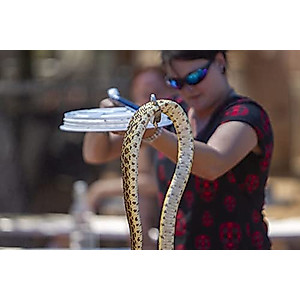 IC ICLOVER 52 Inch Aluminum Alloy Snake Tongs, Professional Standard All-in-One Reptile Grabber Rattle Snake Catcher Wide Jaw Handling Tool with Lock and Grip Handle