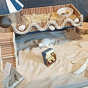 DR.DUDU Hamster Bath Sand, 2.8lb Dust Free Desert Sand or Potty Litter Sand for Hamster Chinchillas Gerbil Syrian Mice Small Animals (White)