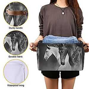 xigua Horse Storage Basket Storage Bin Organizer Basket, Foldable Rectangular Storage Box with Handles for Home Office