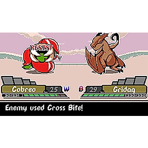 Monster Crown - Nintendo Switch