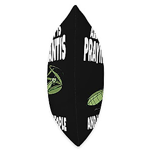 Praying Mantis Animals All I Care About is Praying Mantis and Like Maybe 3 People Throw Pillow, 16x16, Multicolor