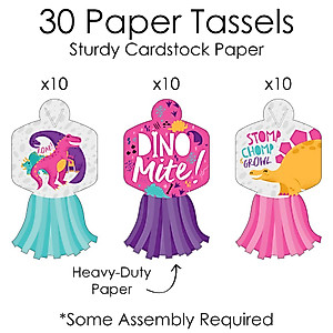 Big Dot of Happiness Roar Dinosaur Girl - 90 Chain Links and 30 Paper Tassels Decoration Kit - Dino Mite Trex Baby Shower or Birthday Party Paper Chains Garland - 21 feet