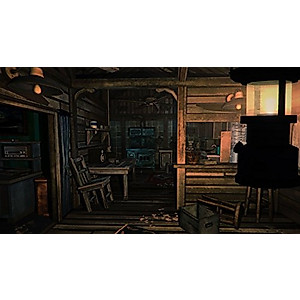 The Long Dark - PlayStation 4