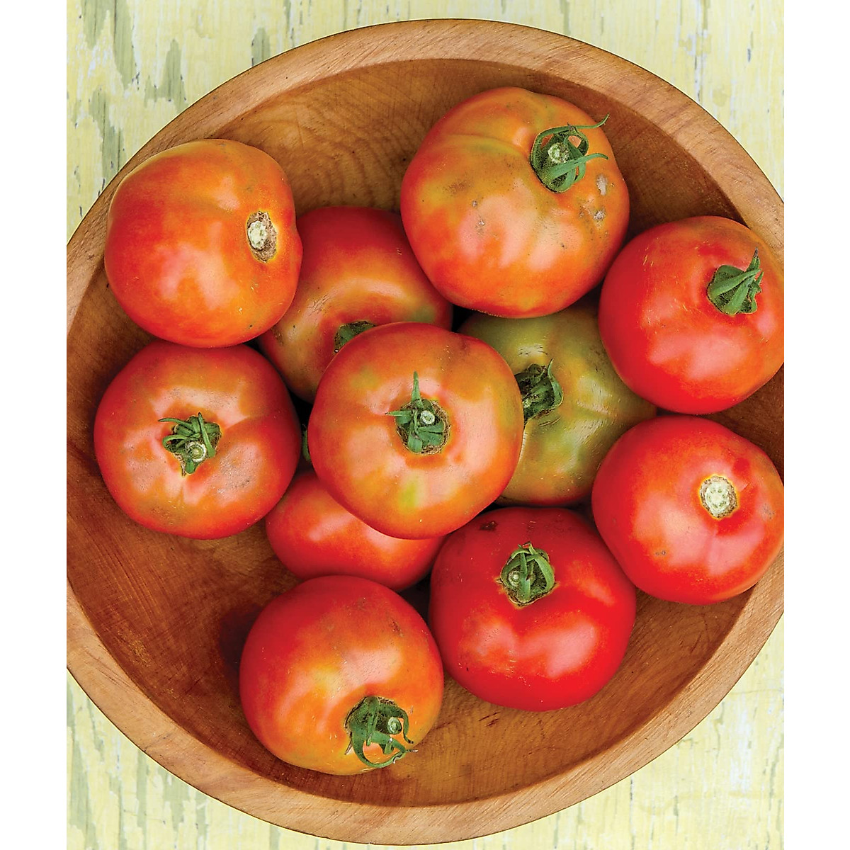 Burpee 'Early Girl',Slicing Tomato, 50 Non-GMO Seeds
