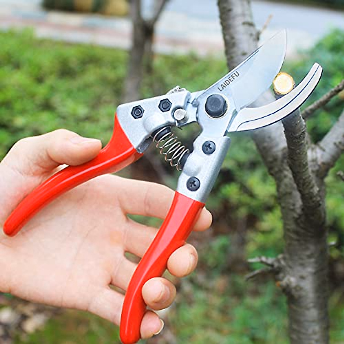 Garden clippers, Pruners for Gardening, pruning shears, gardening tools, for trimming rose, floral, tree, plants, sharp garden scissors, arthritis weak hand snips.