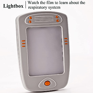 HIRNER Model Teaching Model Realistic Lung Anatomy Model Removerable Human Internal Organ Anatomy Model Medical Teaching Learning Aids for Teaching