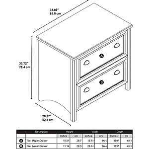 Bush Furniture Fairview 2 Drawer Lateral File Cabinet, Home Office Storage for Letter, Legal, and A4-Size Documents, 32W, Antique Black