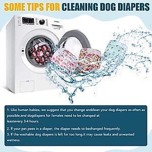 XPCARE Dog Diaper Female (4 Pack) - Washable Reusable Durable Dog Diapers - Highly Absorbent Female Dog Diapers - Dog Aiaper for Dogs in Heat,Incontinence or Excitatory Urination(M)