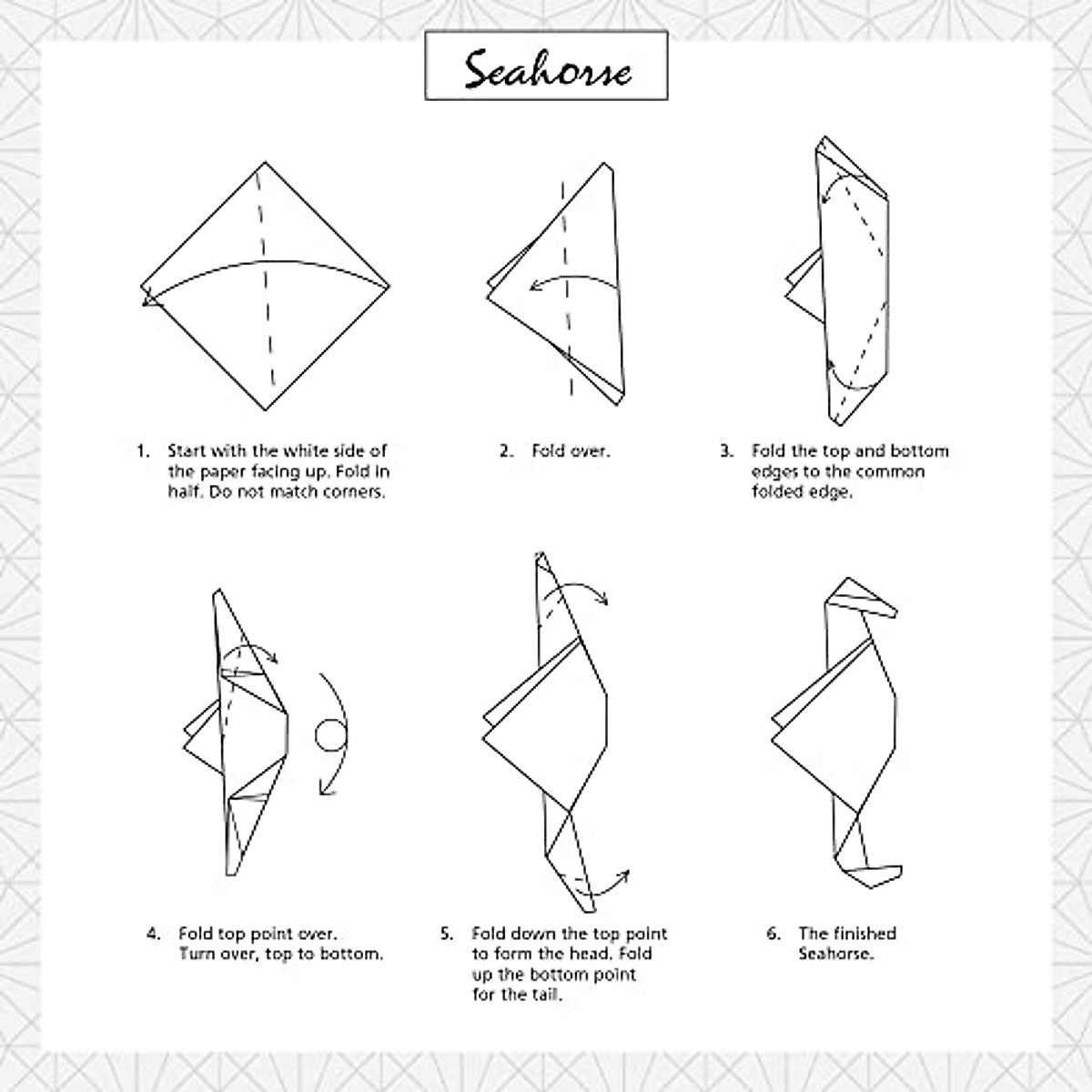 Origami Paper 500 sheets Succulents 6" (15 cm): Tuttle Origami Paper: Double-Sided Origami Sheets with 12 Different Photographs (Instructions for 6 Projects Included)