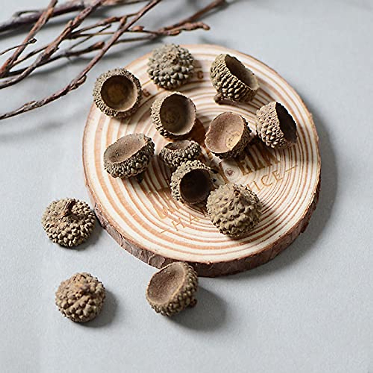 DYNWAVE 200Pcs Natural Acorns Caps Decorative for Craft Vase Fillers Home Garland Autumn Embellishments Ornaments