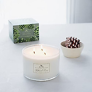 Soap & Paper Factory Roland Pine 18 oz Three-Wick Soy Candle