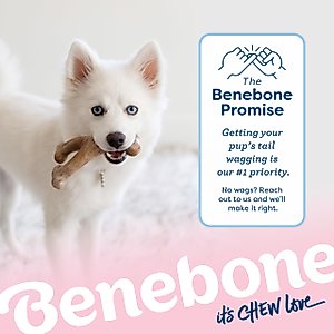 Benebone Puppy Wishbone Durable Dog Chew Toy for Gentle Chewers, Real Bacon, Made in USA, Medium