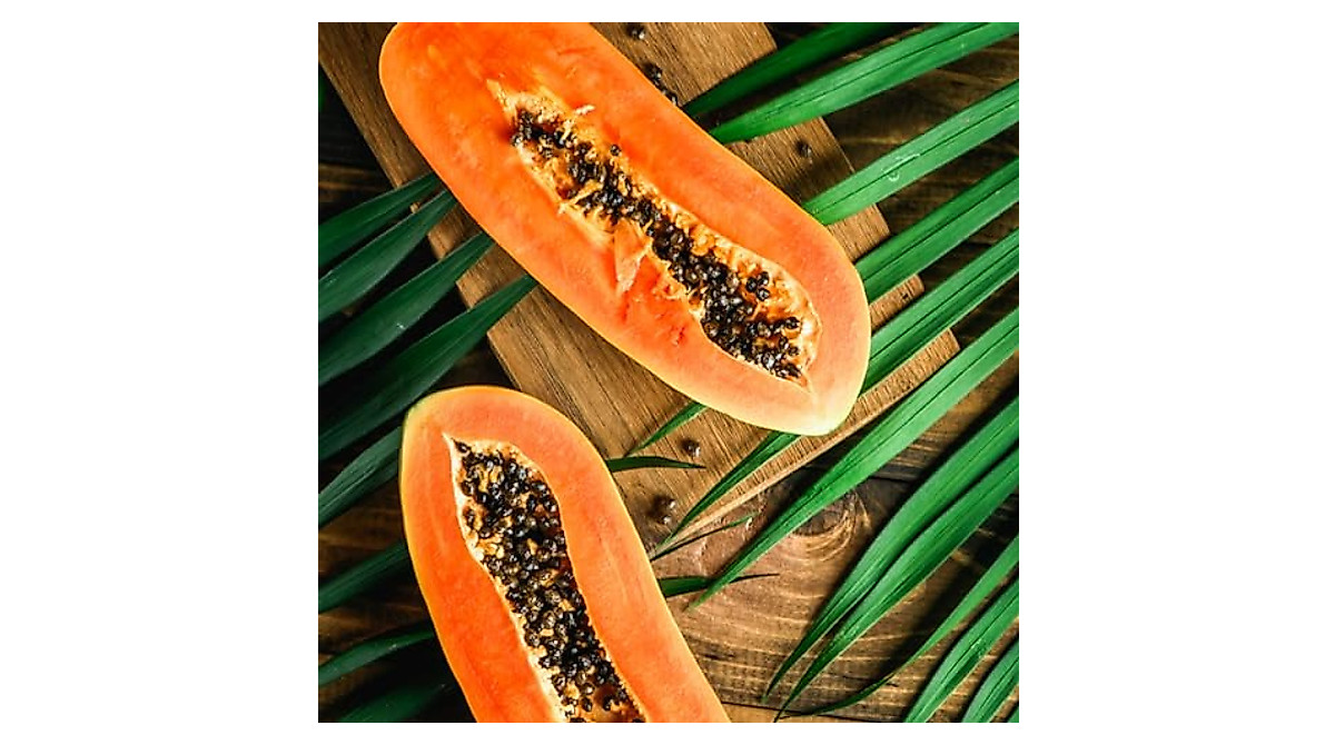10 Dwarf Papaya Tree Seeds Sweet and Tasty and Juicy Easy to Grow Non ...