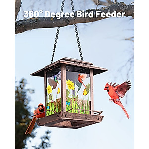 DesGully Bird Feeders for Outdoors Hanging - 2.5 LBs Wild Birds Metal Solar Bird Feeder for Outside Gift Ideas for Bird Lovers Garden Yard Bird Seeds (Chew-Proof,Weather Resistance)