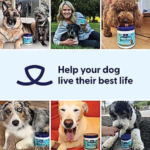 Origin Labs Adult Dog Multifunction Support, Omega 3 Supplement, Gut Health Probiotics, Immune Support, Heart, Skin, Liver, Brain, Joint Health, Glucosamine Chondroitin, Bacon Flavor, 90 Soft Chews