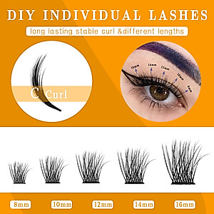 PURELEOR Cluster Lashes 60Pcs Individual Eyelash Extensions C Curl DIY Manga Lash Mixed 8-16mm