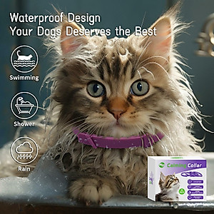 4 Pack Calming Collar for Cats, Cat Pheromone Calming Collar Stress and Anxiety Relief Lasts 30 Days Calm Collar Cat Adjustable Appeasing Calming Collar for Kitten Kitty Calm Collar Make Cat Relaxed