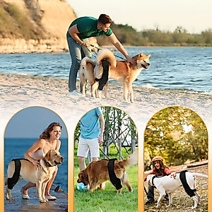 Dog Knee Brace Dog ACL Brace Hind Leg Dog Knee Brace for Torn ACL Hind Leg with Side Stabilizer ACL Brace for Dogs Pain Relief Dog ACL Knee Brace Extra Support Treats Kneecap Dislocation Arthritis-L