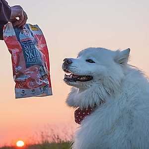 SKIPPER'S Salmon Fish Skin Flatties - Dental Chews for Dogs, Long Lasting Natural Dog Treats, Healthy Pet Supplies Support Skin Coat & Joint Function | Salmon Fish Dried Flatties Dog Food (3.5Oz)