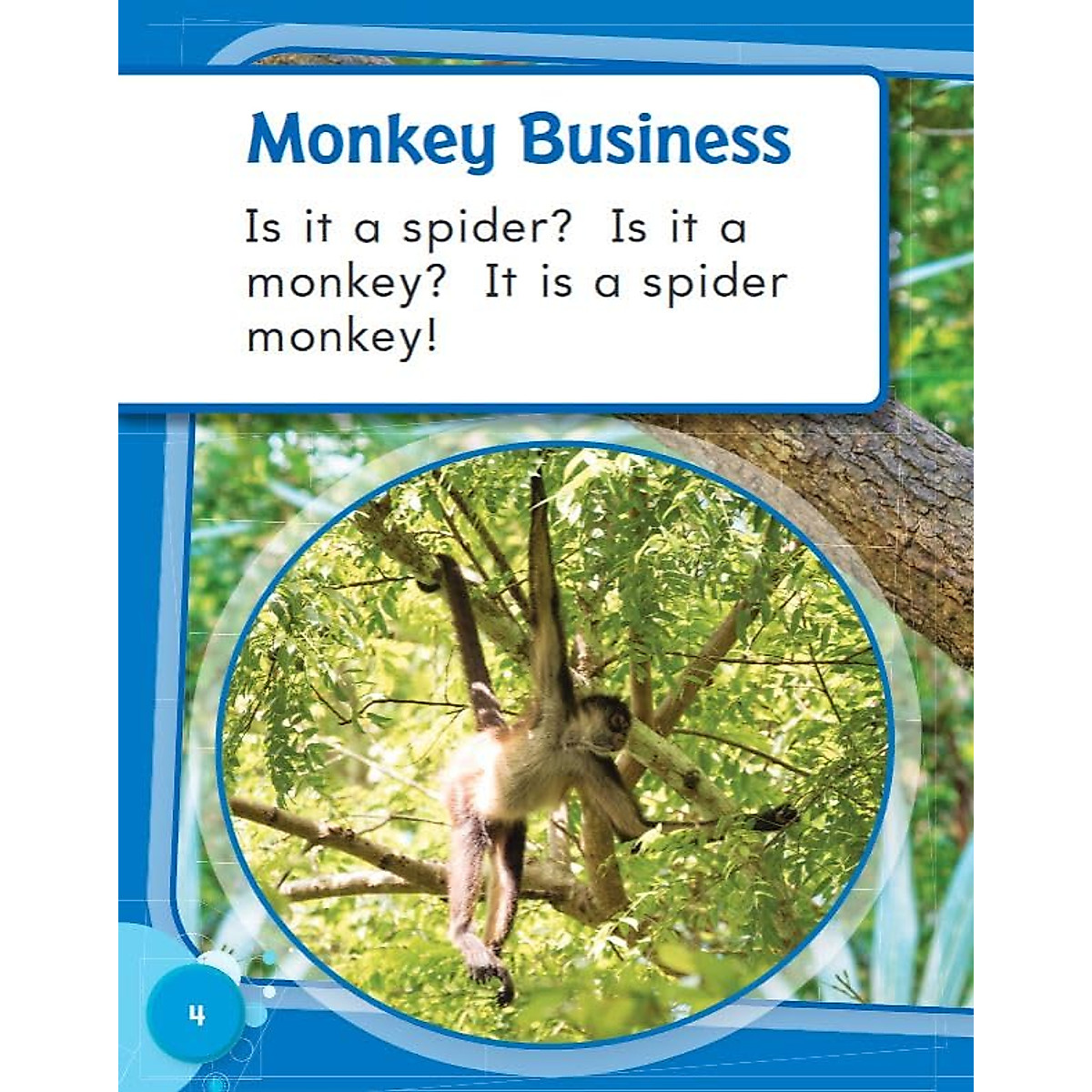Teacher Created Materials 27329 Amazing Animals: Spider Monkeys: Place Value (Amazing Animals: Mathematics Readers)