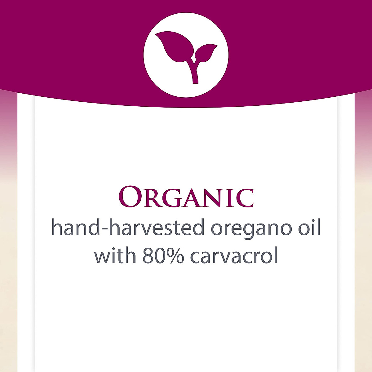 Natural Factors, Oil of Oregano 180 mg, Helps Maintain Good Health with Extra Virgin Olive Oil, 30 softgels (30 servings)
