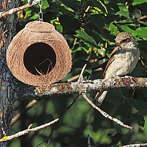 VILLCASE Outdoor Toys Bird Natural Shell Bird House Parakeet Budgie Cockatiel Finch Sparrows Breeding Nesting Bird Aviary Cage Box -Pecking Bite (Chain Style) Outdoor Playset