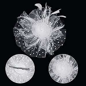 Women's Tea Party Fascinators Hat Set: Flower Mesh Hair Clip with Veil, Lace Gloves, Pearl Necklace and Earrings for Wedding and Halloween