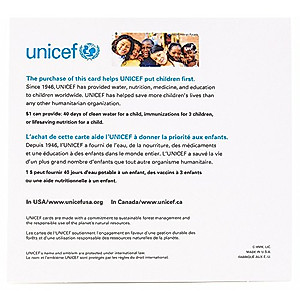 Hallmark UNICEF Boxed Christmas Cards, Peaceful Holly Tree (20 Cards and 21 Envelopes) (1XPX2032)