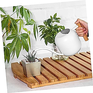 FUNOMOCYA Plant Watering Pot Watering Kettle Succulent Tools Upholstery Tools Stainless Steel Spray Bottle Plant Watering Kettle Metal Watering Can Gardening Watering Can Watering Can Vase