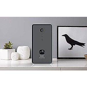 Owlet Home Pet Camera with Treat Dispenser Tossing for Dogs/Cats, 2.4Ghz & 5Ghz WiFi, 1080P Camera, Live Video, Auto Night Vision, 2-Way Audio, Compatible with Alexa, pre-Recorded Voice Message
