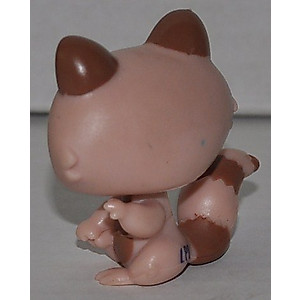 Raccoon #1409 (Brown, Blue Eyes) Littlest Pet Shop (Retired) Collector Toy - LPS Collectible Replacement Single Figure - Loose (OOP Out of Package & Print)