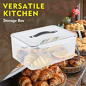 Lesbin 15 L Clear Airtight Rectangular Storage Container for Food, Set of 4 Plastic Clear Food Storage Container with Latch Lid and Handle