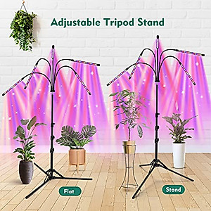 AMBOR Grow Lights for Indoor Plants with Stand, [5-Heads] Floor Plant Light, 150W Full Spectrum LED Plant Grow Lamp with 4 8 12H Timer, 10 Dimmable Brightness, Remote Control and Auto ON/Off