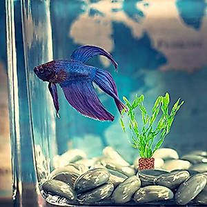 Aquatic Plant Rings 10pcs Anti-Floating Ceramic Aquarium Plants Fixed Rings - Plants Weights Holders Anchors for Aquarium Plants Fixing