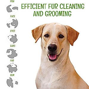 Petazy 400 Dog Wipes for Paws and Butt Ears Eyes | Organic Pet Wipes for Dogs | Lavender Scented Dog Wipes Cleaning Deodorizing | Extra Thick Paw Wipes for Dogs Cats Pets | Bonus Glove Wipes Included