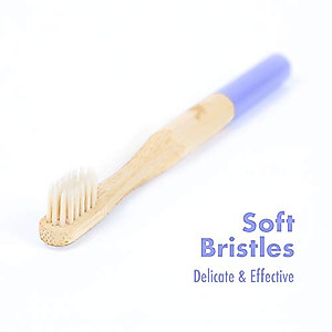 Native Birds Kids Bamboo Toothbrush with Soft Bristles, Set of 4 Eco Friendly Toothbrushes, BPA Free, Designed in Ukraine